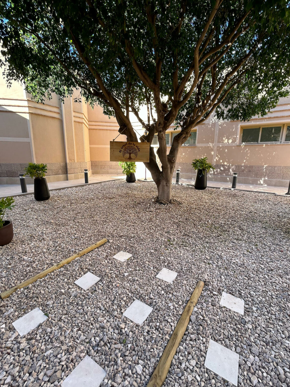 Espacios alternativos para depositar e inhumar las cenizas de los seres ...